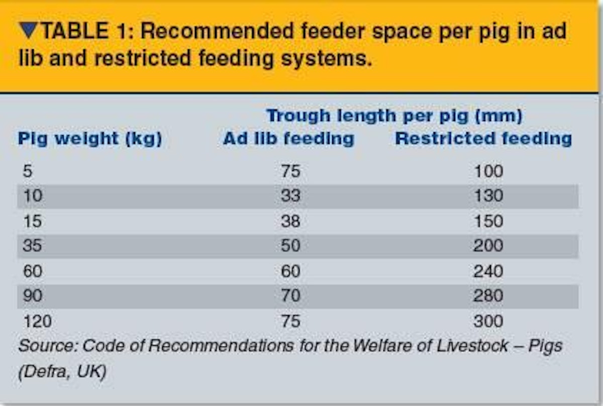 When pig feed prices rise | WATTPoultry.com