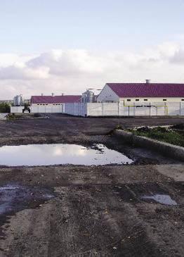 8 points you should know about Russia's pig industry | WATTPoultry.com