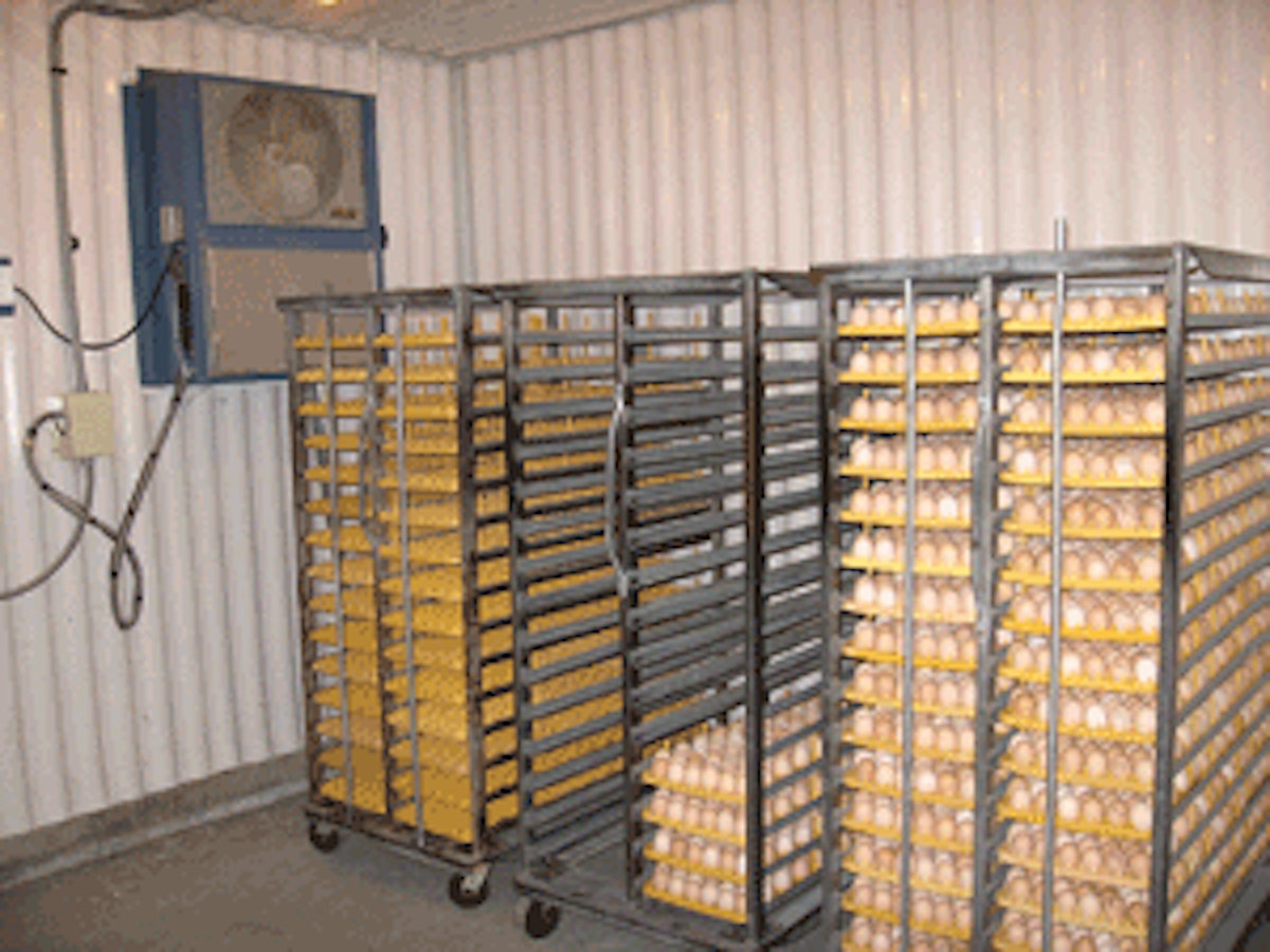 On-farm egg storage: Avoid pre-incubation | WATTPoultry.com