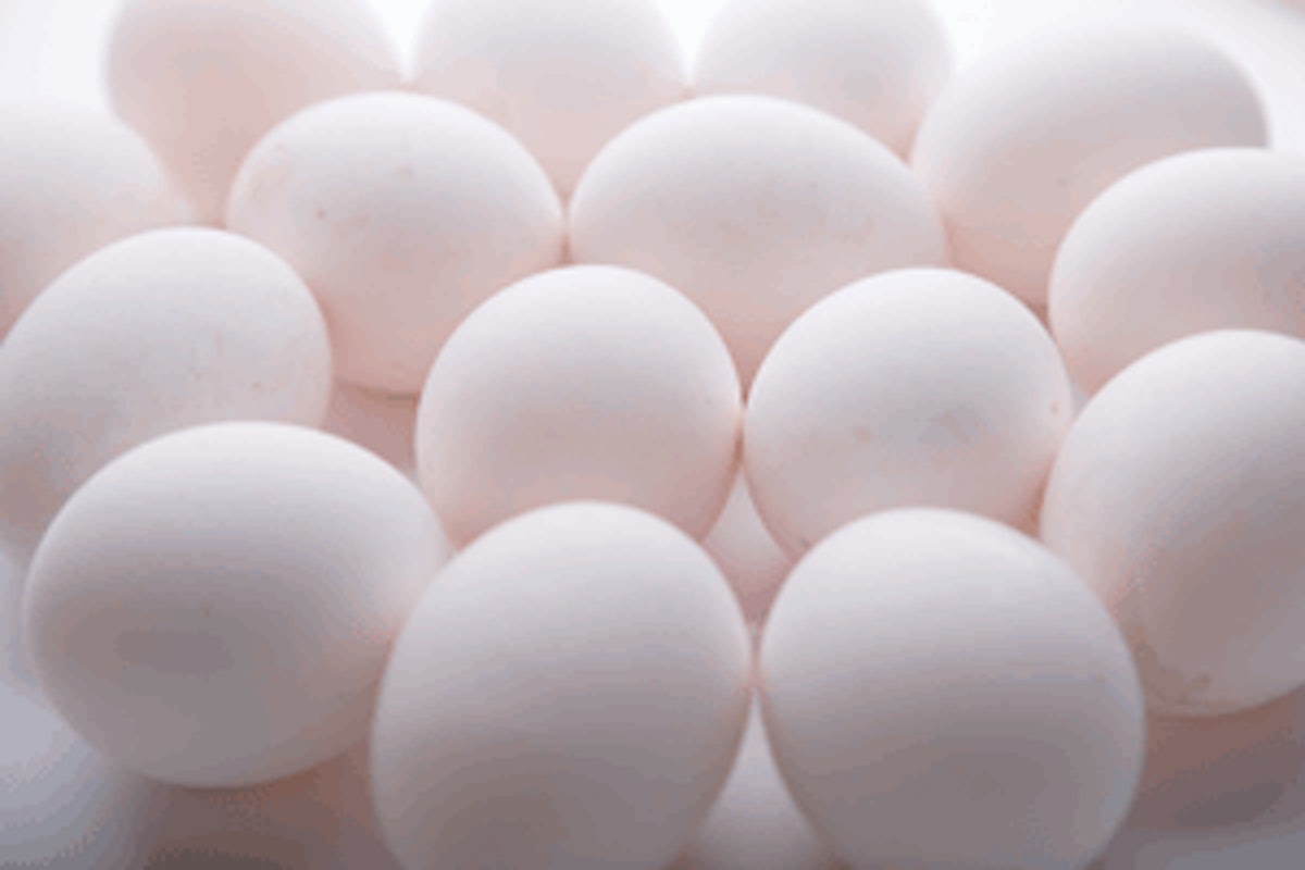 Secure Egg Supply Plan to promote food security | WATTPoultry.com
