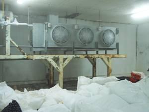 12 tips for broiler cold storage management | WATTPoultry.com