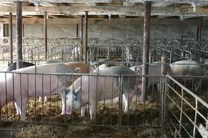 USDA to help producers implement on-farm energy audit solutions ...