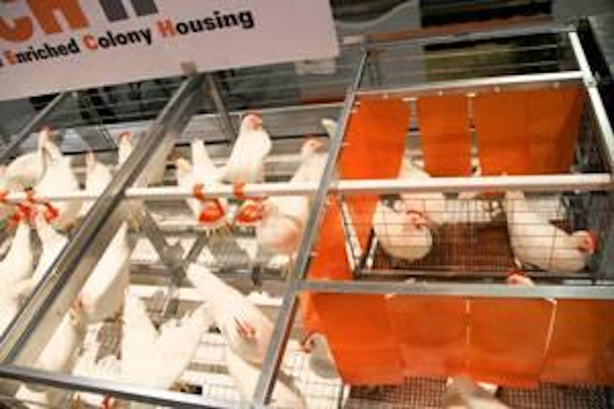2011 IPE focuses on colony cage systems | WATTPoultry.com