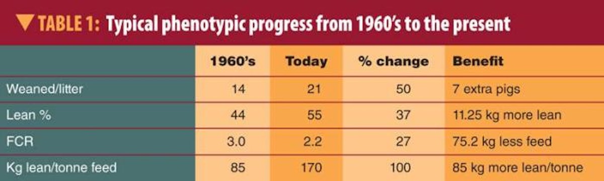 The role of pig genetics in global sustainability and responsibility ...
