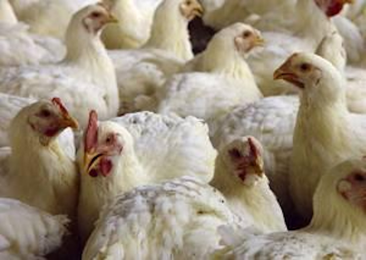 US poultry certified wholesome up in June | WATTPoultry.com