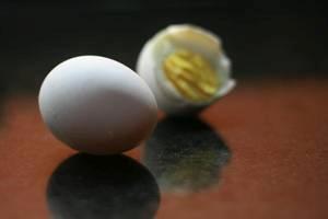US August egg production down from 2010 | WATTPoultry.com