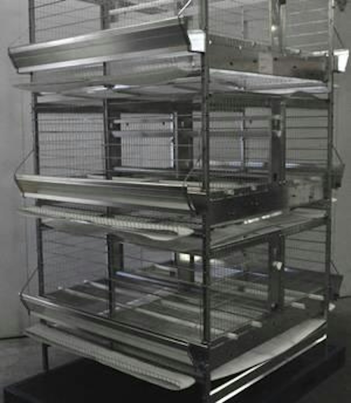 FDI Cage Systems enrichable layer unit | WATTPoultry.com