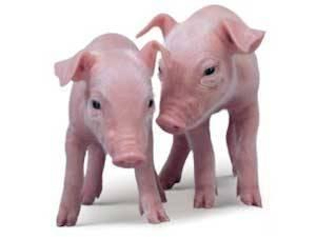 Bayer Animal Health baycox 5% (toltrazuril) oral suspension ...