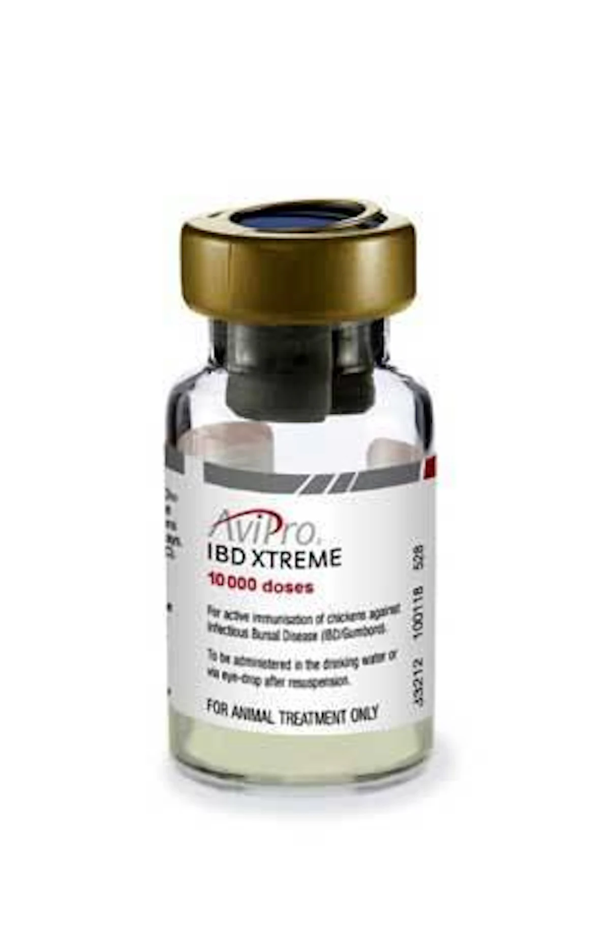 Lohmann Animal Health AviPro IBD Xtreme vaccine | WATTPoultry.com