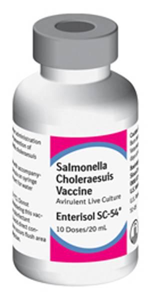 Boehringer Ingelheim Vetmedica enterisol SC-54 vaccine | WATTPoultry.com