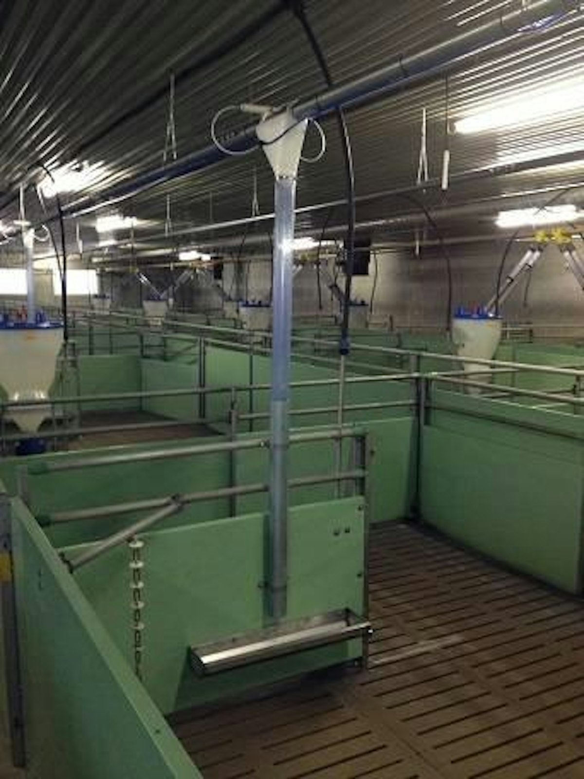 Witte-Lastrup GmbH EasyPlay pipe chain systems | WATTPoultry.com