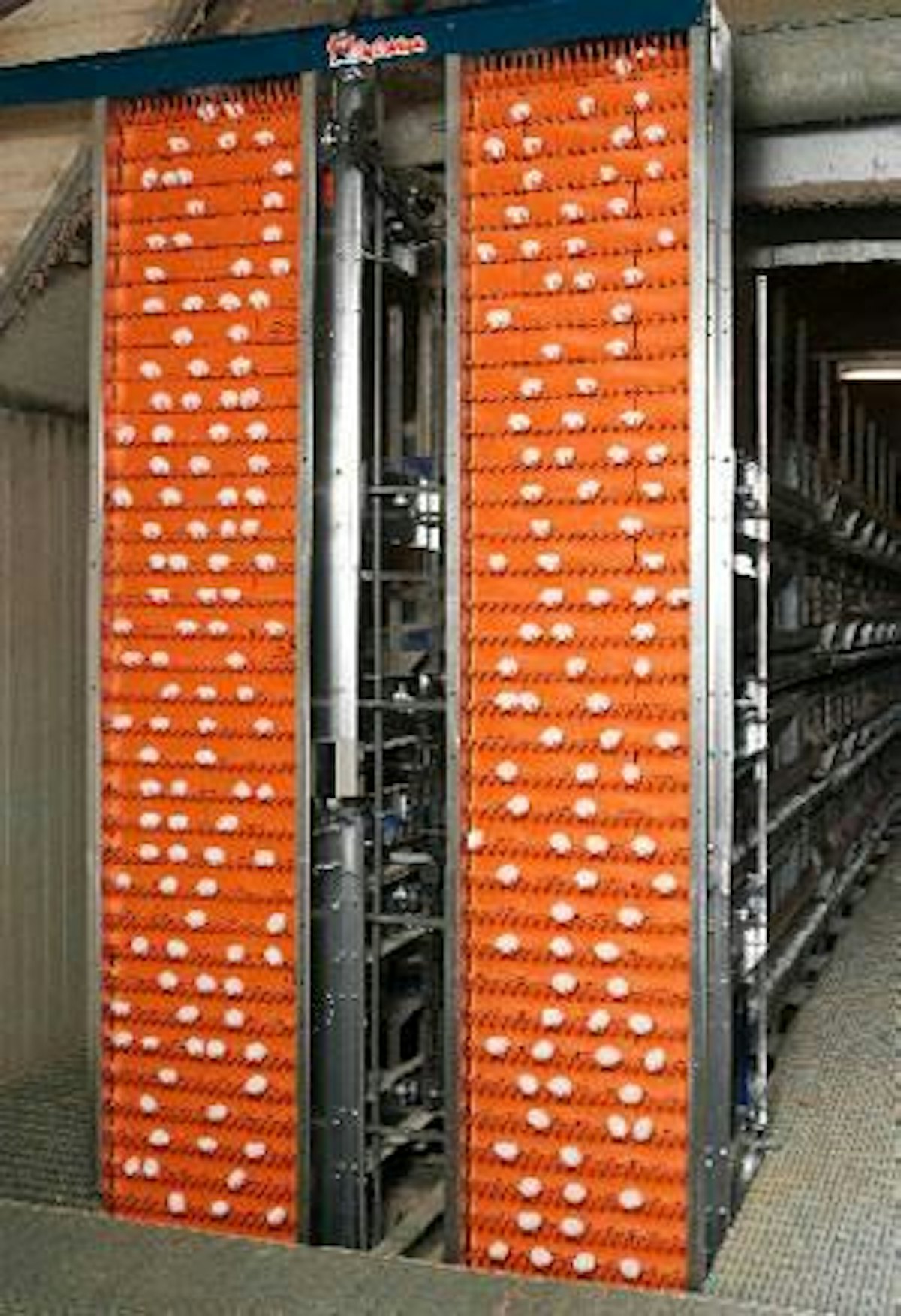 Big Dutchman EggCellent system From: Big Dutchman North America ...