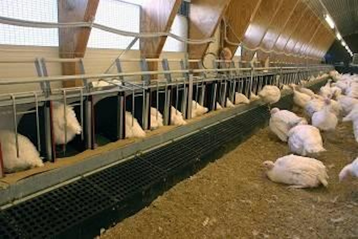 Vencomatic Group turkey nest From: Vencomatic | WATTPoultry.com