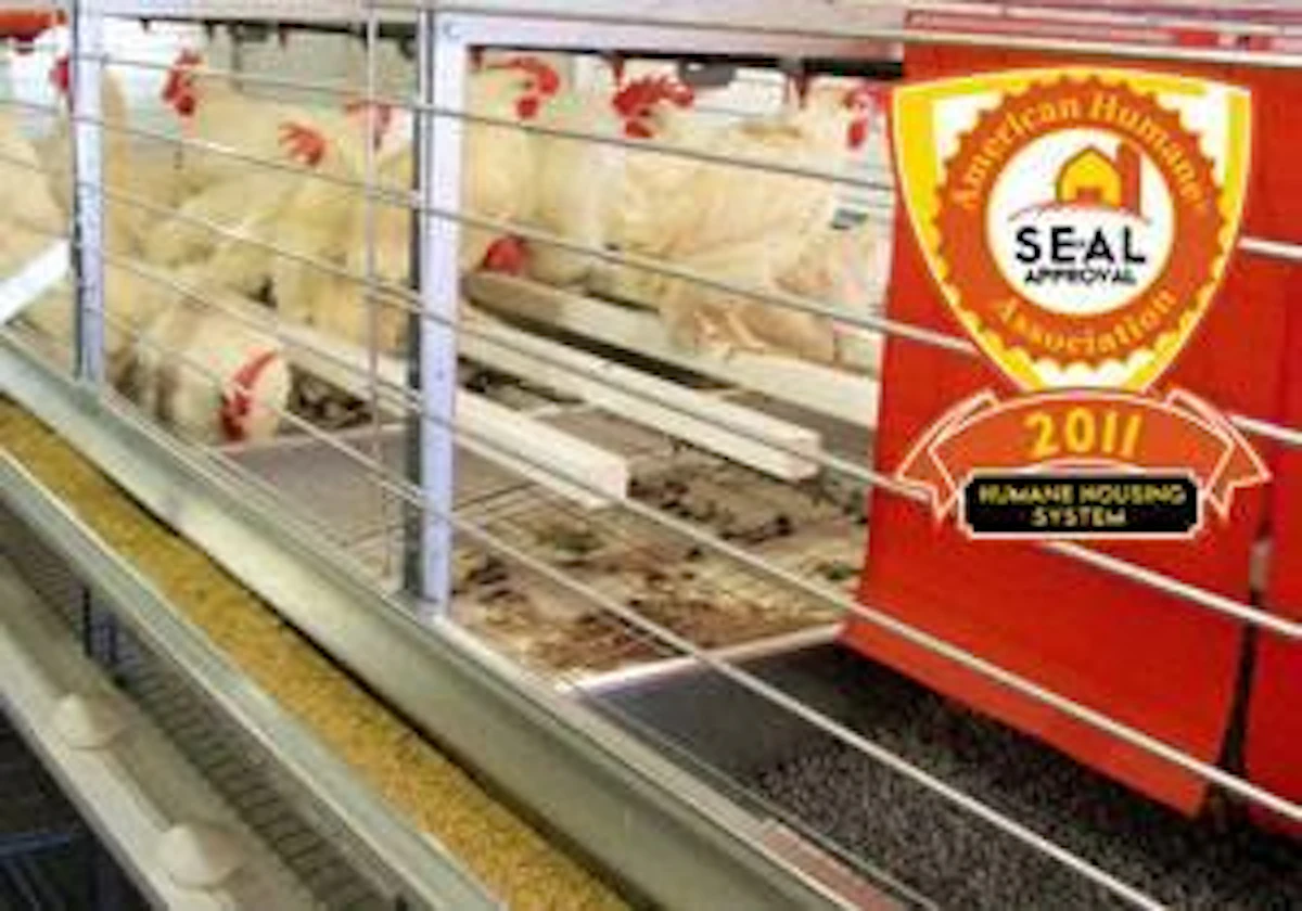 Chore-Time Egg Production Systems VERSA fully enriched colony system ...