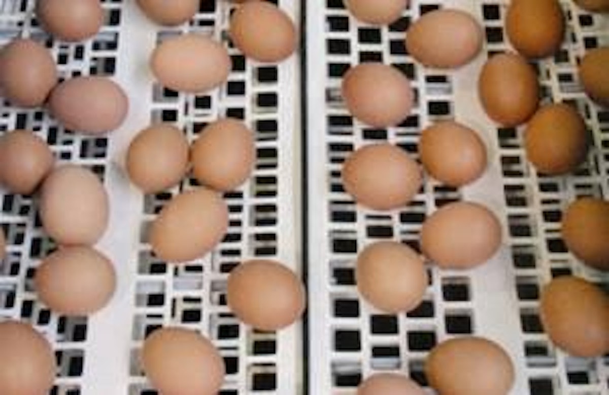 Vencomatic B.V.: Grando Nest nido automático From: Vencomatic B.V ...