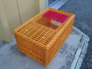 Carfed SA: Jaulas plásticas para transporte de aves vivas Multi 100“T ...