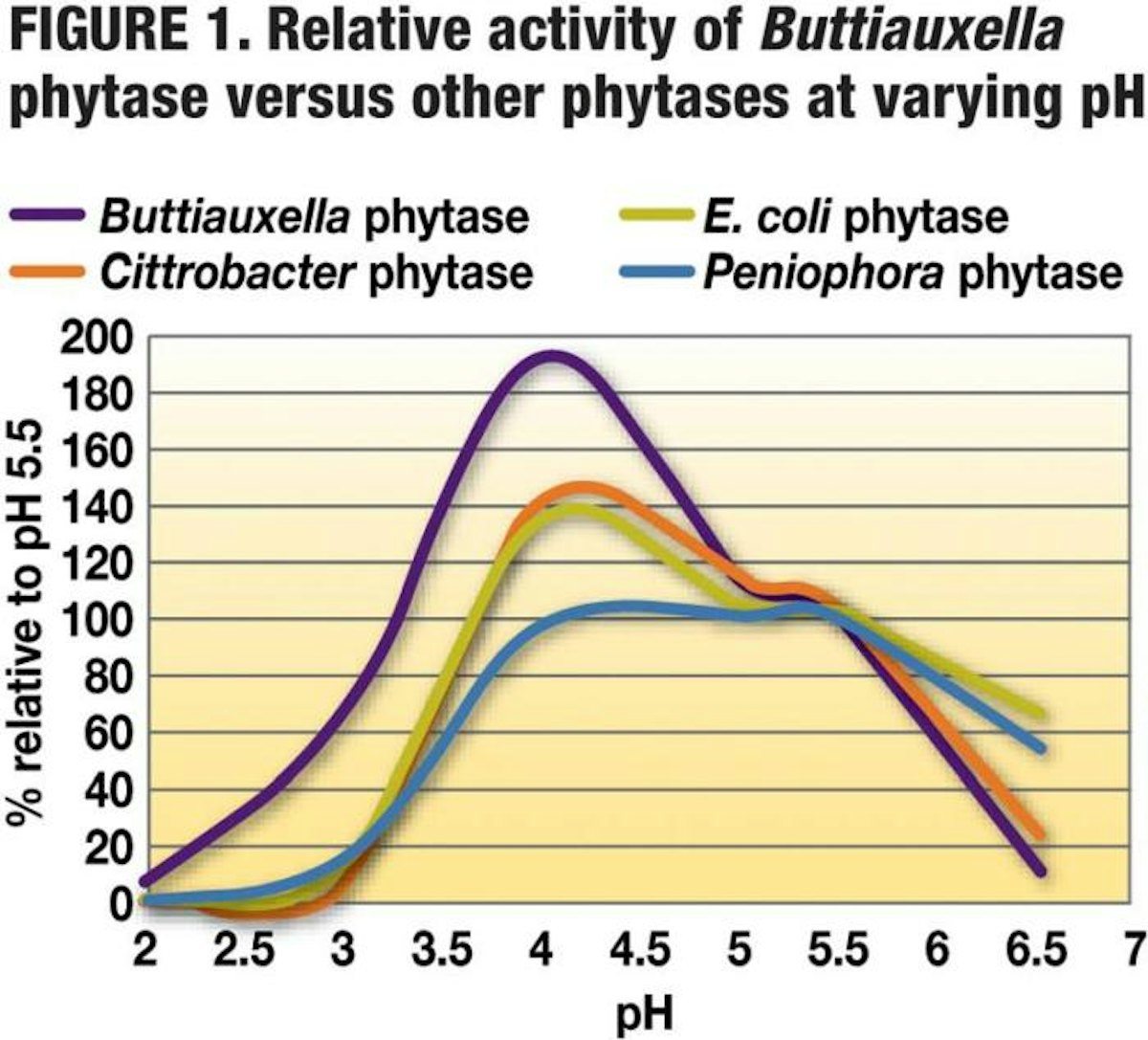 How to select the best phytase for your feed formulation | WATTPoultry.com