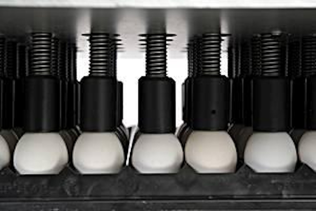 Benefits of in ovo vaccination available to smaller hatcheries ...