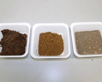 Feeding insects as protein in poultry feed | WATTPoultry.com