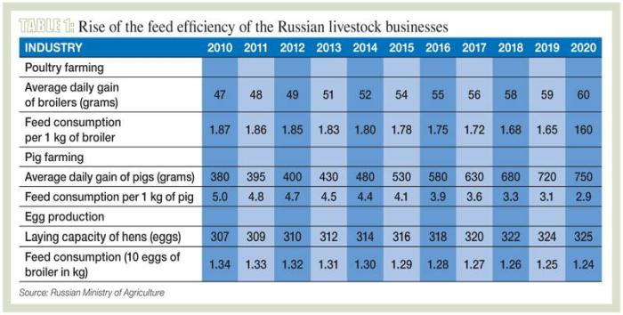 WTO sets new challenges to the Russian feed industry | WATTPoultry.com
