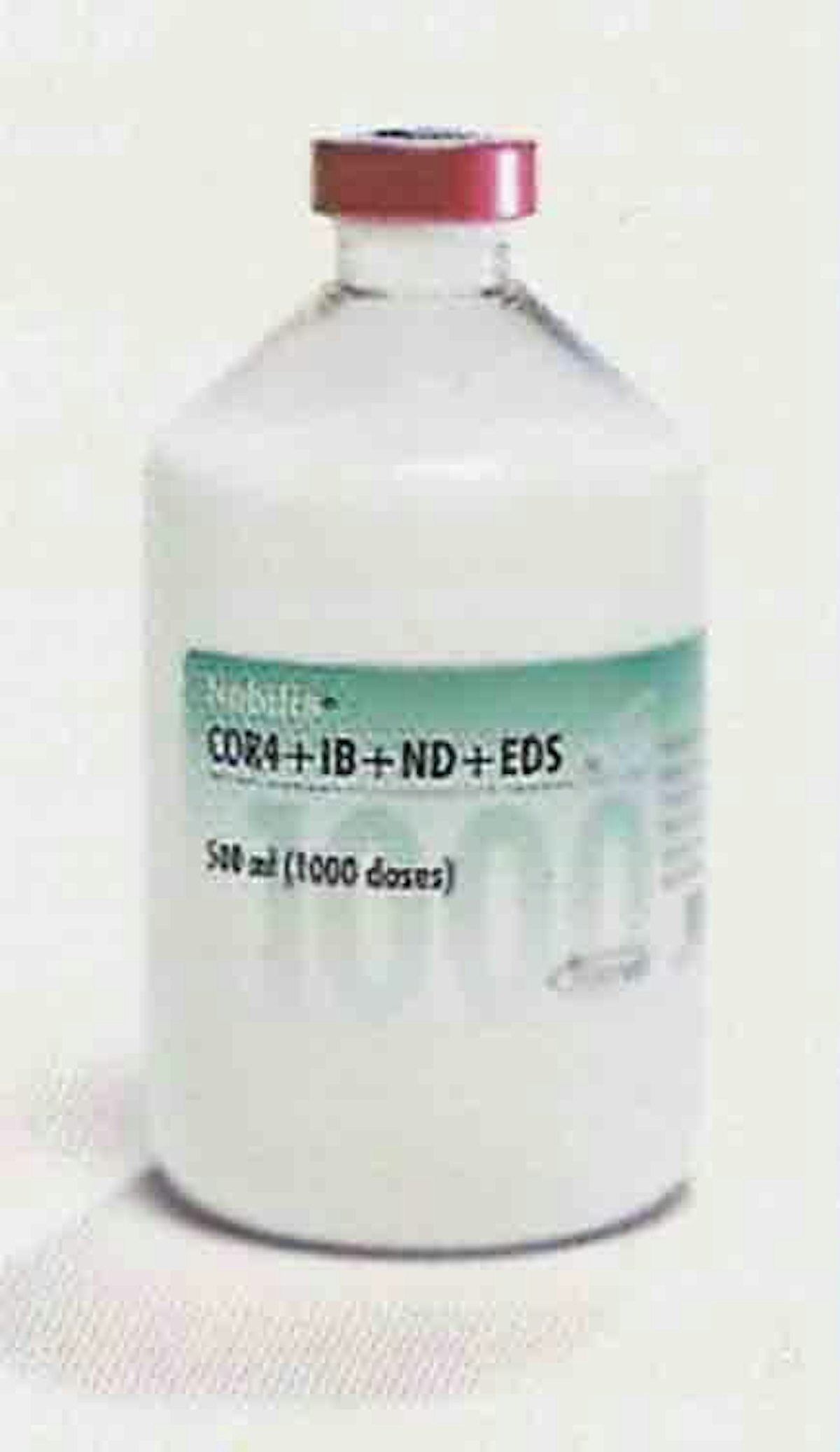 Intervet/Schering-Plough Animal Health vacuna Nobilis Cor4 ...