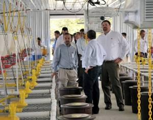 Nuevo plantel avícola experimental en Honduras | WATTPoultry.com