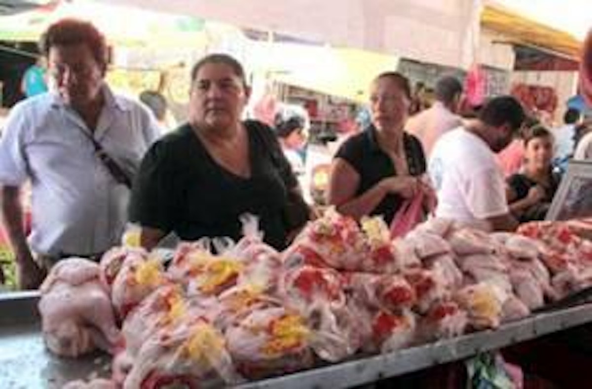 Nicaragua: se vendieron 227,000 kilos de pollo estadounidense en abril ...