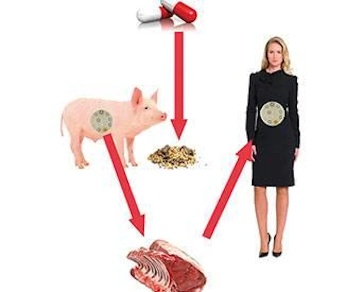 An overview of feed additive alternatives to AGPs | WATTPoultry.com
