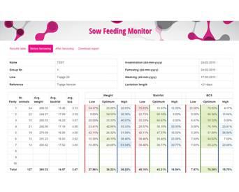 Feeding sows to improve uniformity in body condition | WATTPoultry.com