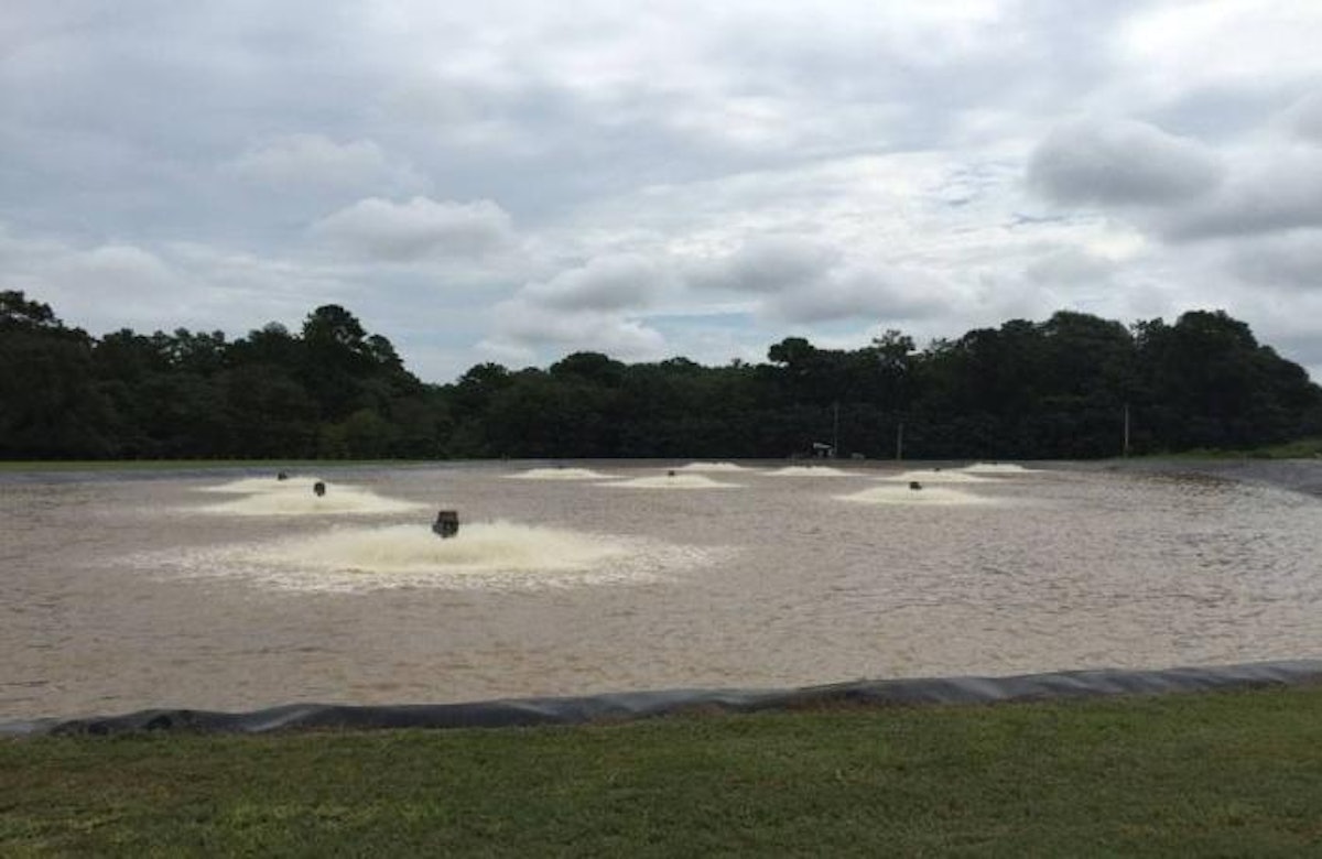 Claxton Poultry makes animal feed with poultry wastewater | WATTAgNet ...