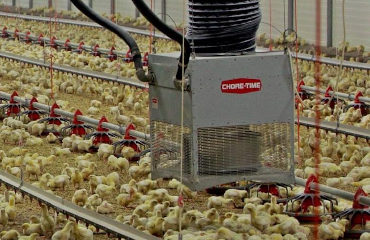 Chore-Time purchases CUBO assets from CGM | WATTAgNet | WATTPoultry.com
