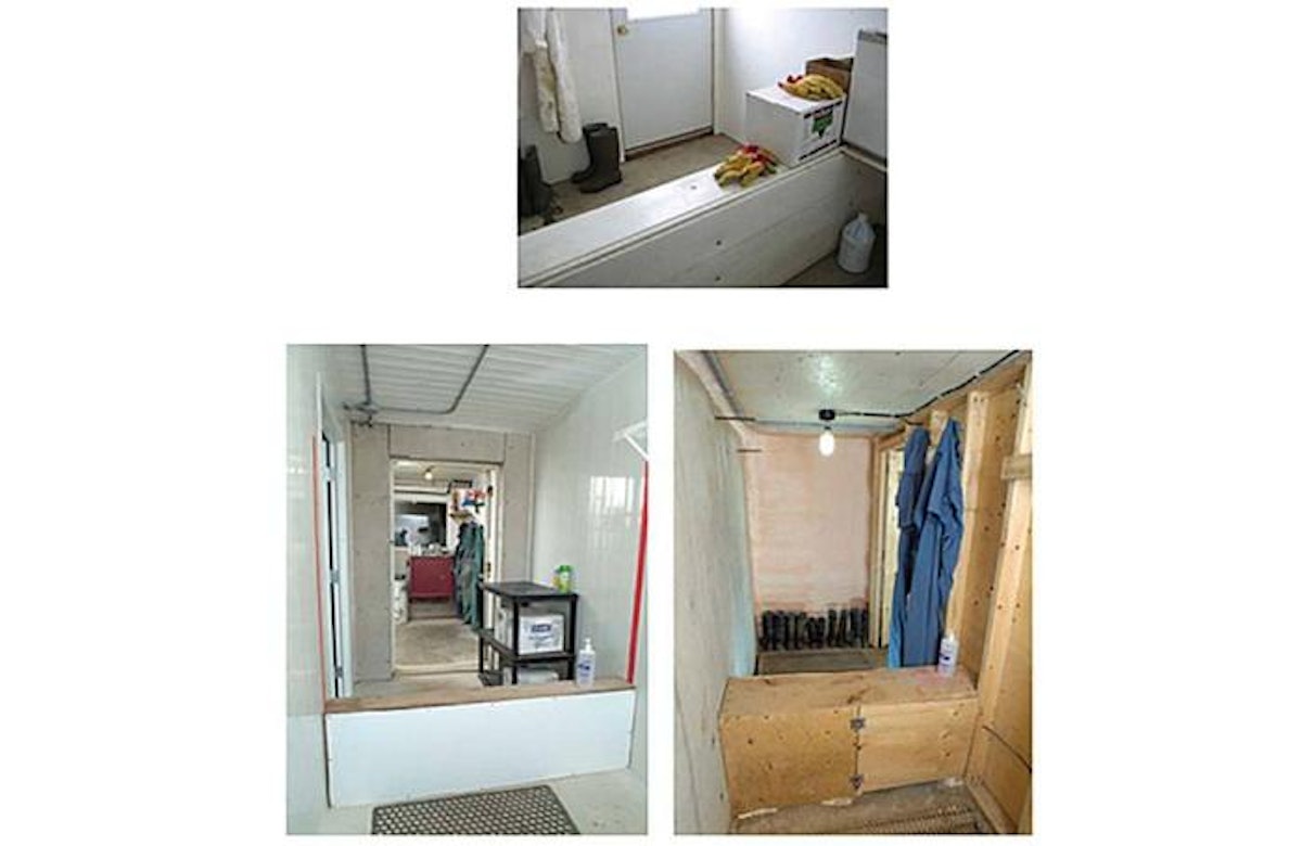 3 important biosecurity concepts for your poultry farm | WATTAgNet ...