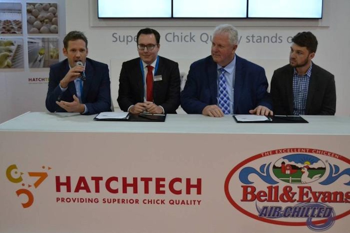 Bell & Evans adding humane hatchery in Pennsylvania | WATTAgNet ...