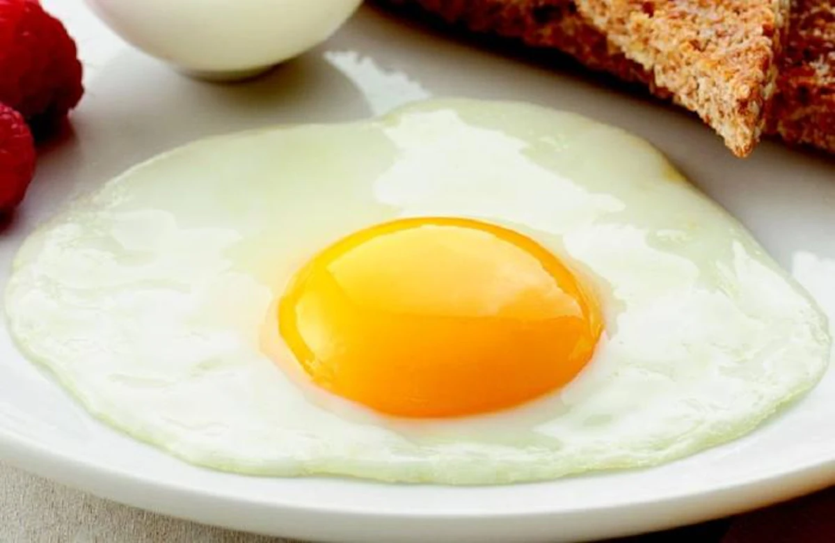 Papetti’s egg products re-launched in foodservice sector | WATTAgNet ...
