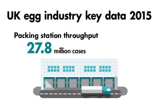 UK egg statistics: Production up, prices down in 2015 | WATTAgNet ...