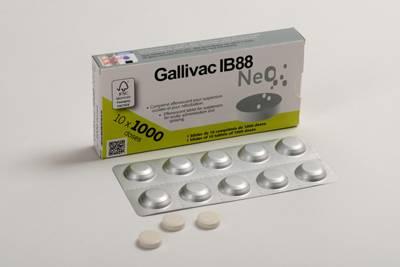 Merial Gallivac IB88 NeO vaccination tablets | WATTPoultry.com