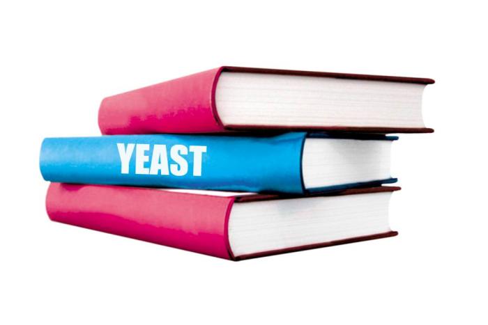 3 things you didn’t know about yeast derivatives | WATTAgNet ...