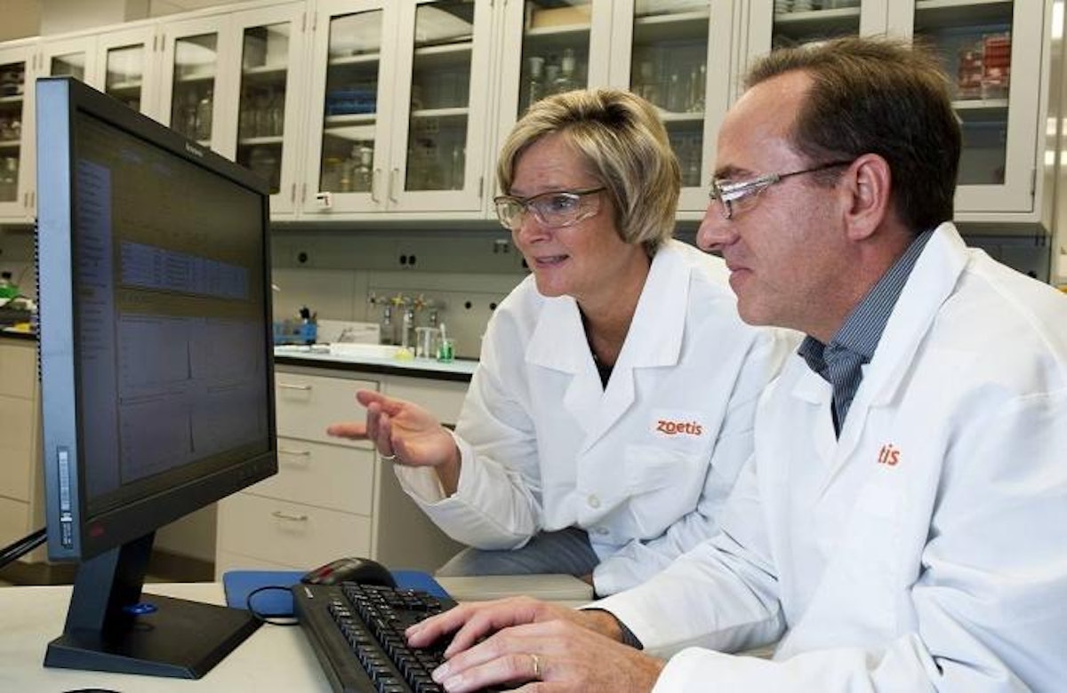 Zoetis gains USDA contract to produce avian flu vaccine | WATTAgNet ...