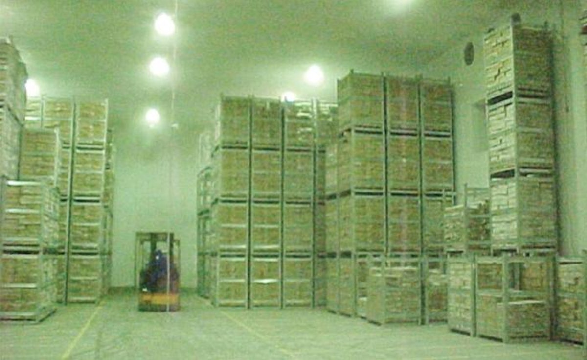 How to improve poultry processing plant storage logistics | WATTAgNet ...