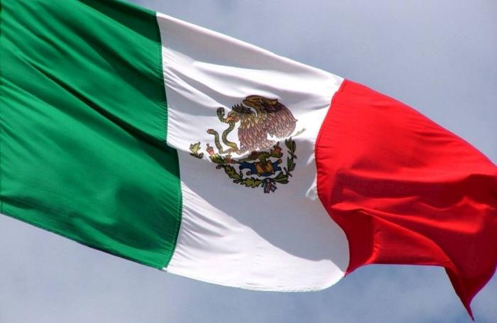 Rabobank: Chicken imports to Mexico down in 2020 | WATTPoultry.com
