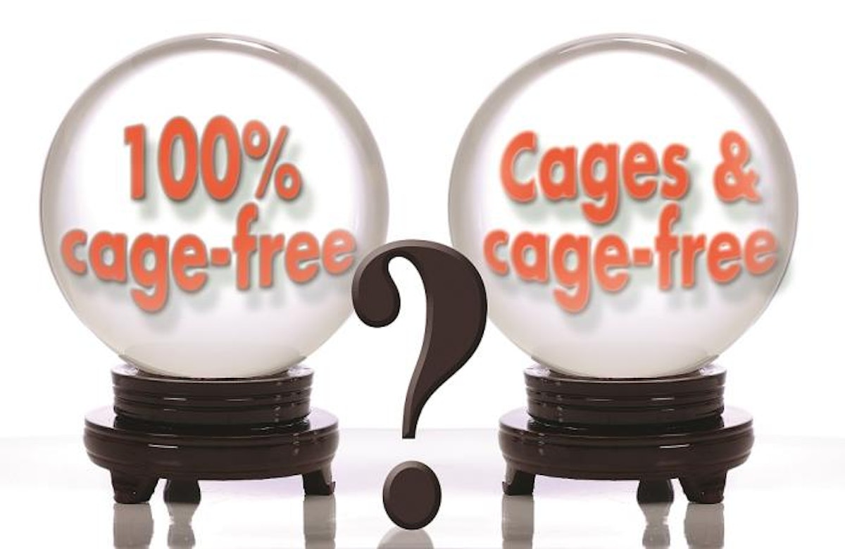 US egg industry faces hard choices amid cage-free rush | WATTAgNet ...