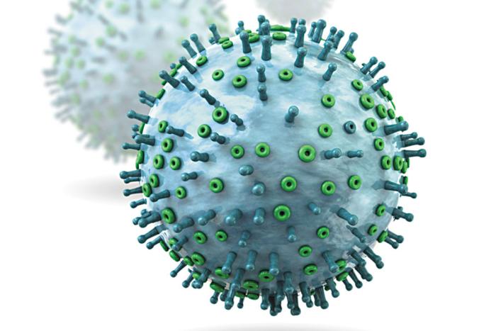 Feed additives found to stop spread of viral diseases in pigs ...