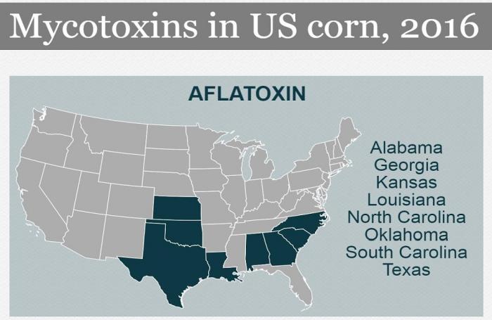Infographic: Mycotoxins in 2016 U.S. corn crop | WATTAgNet ...