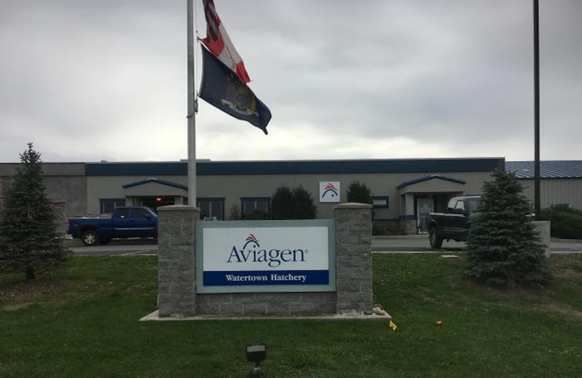 New Aviagen hatchery in New York now making deliveries | WATTAgNet ...