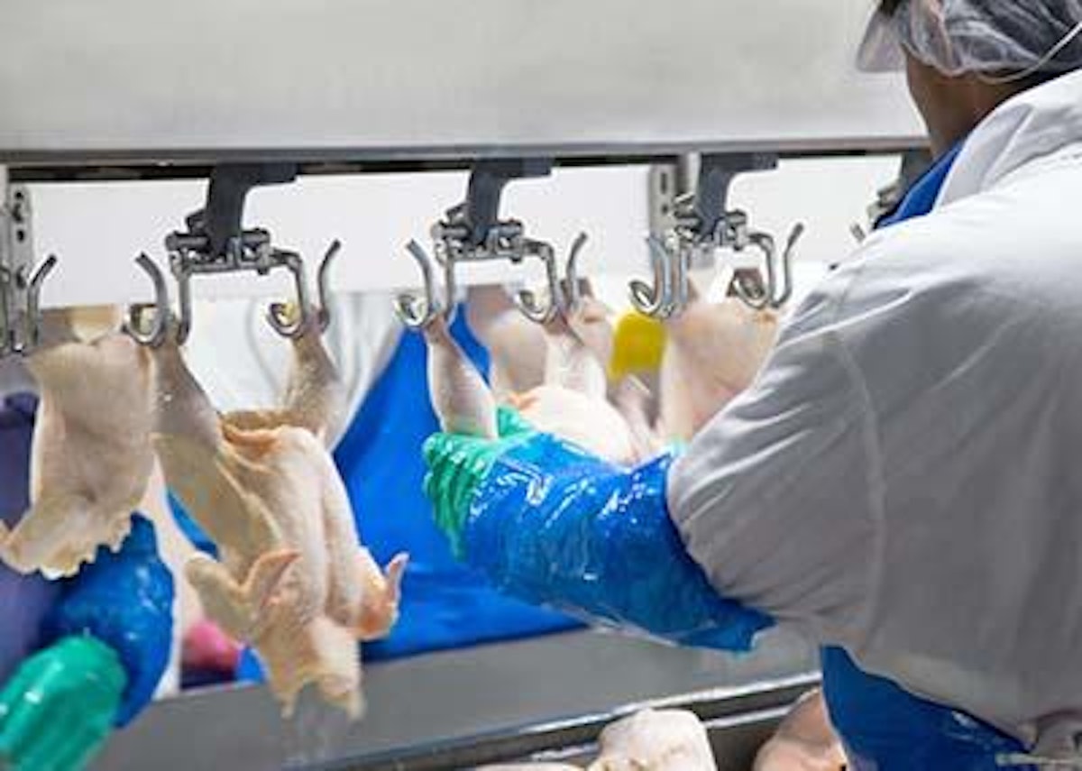 Marel Stork ACM-EH cut-up system | WATTPoultry.com