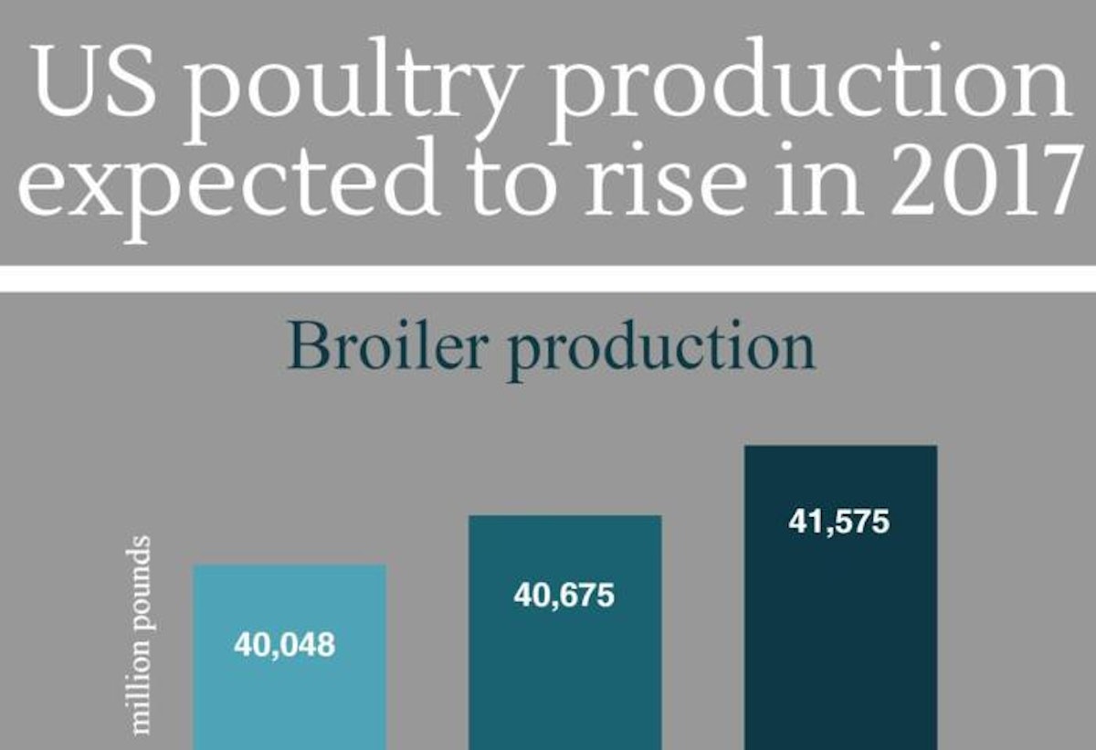Infographic: US poultry production to increase in 2017 | WATTAgNet ...
