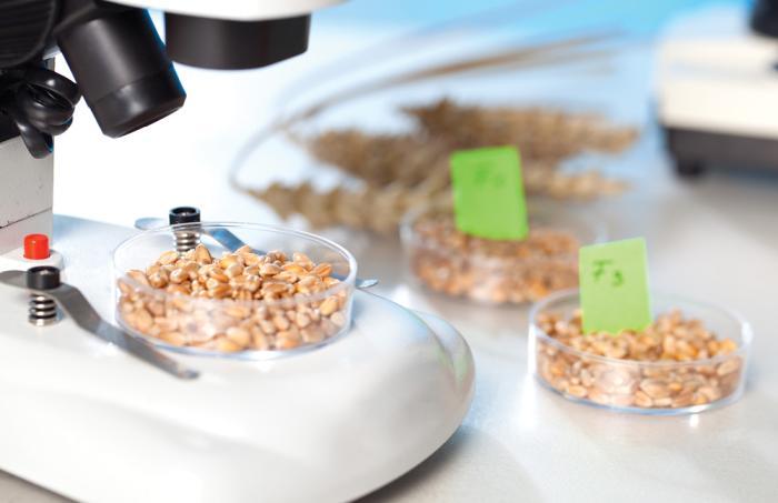 Biotecnología de semillas: impacto en la producción animal | WATTAgNet ...
