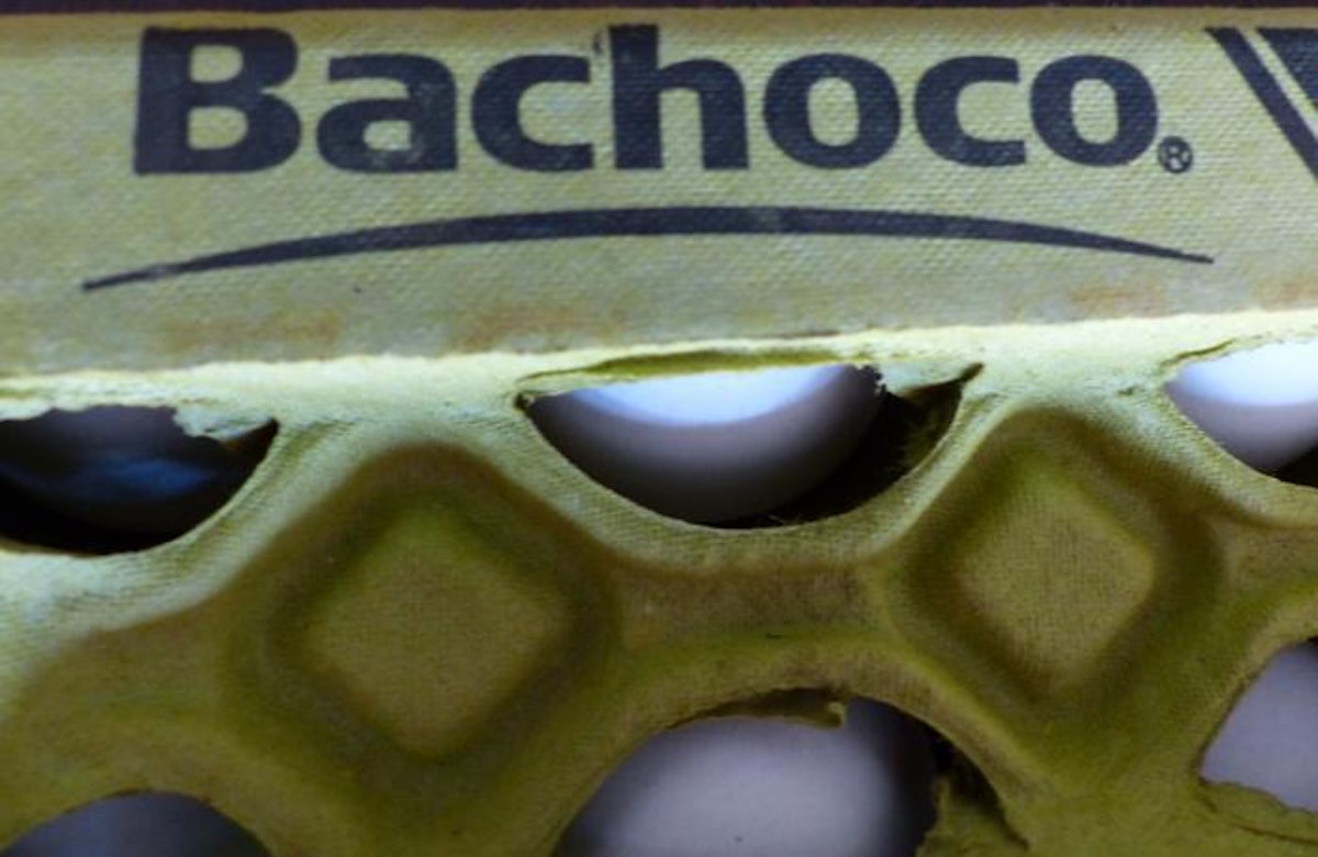 Bachoco increases sales, good results in chicken and pork | WATTAgNet ...