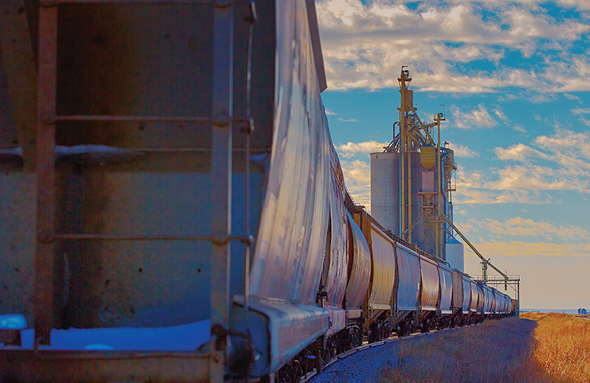Savage Companies, Bartlett and Co. to merge | WATTAgNet | WATTPoultry.com