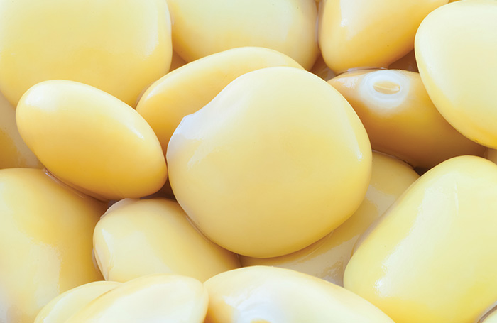 Lupins: an alternative protein source for chickens, pigs | WATTAgNet ...
